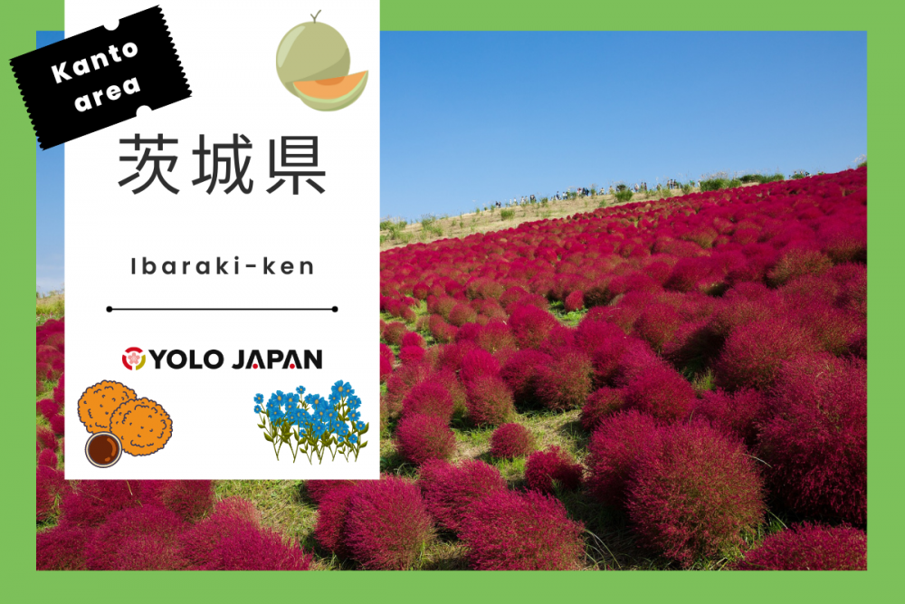 茨城県 [YOLO JAPAN]