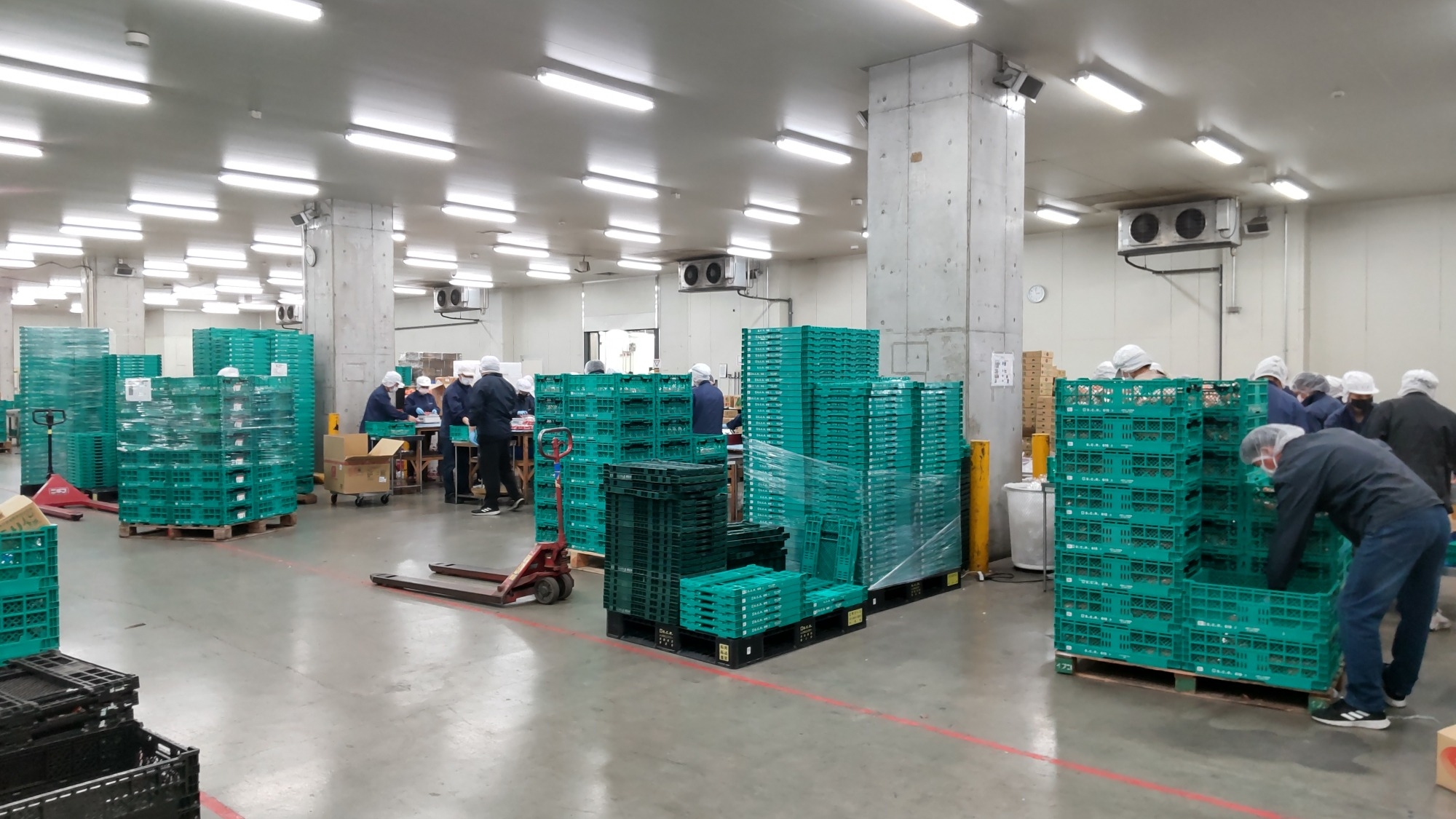 Packaged in small portions OK at a time that suits you, full treatment ...